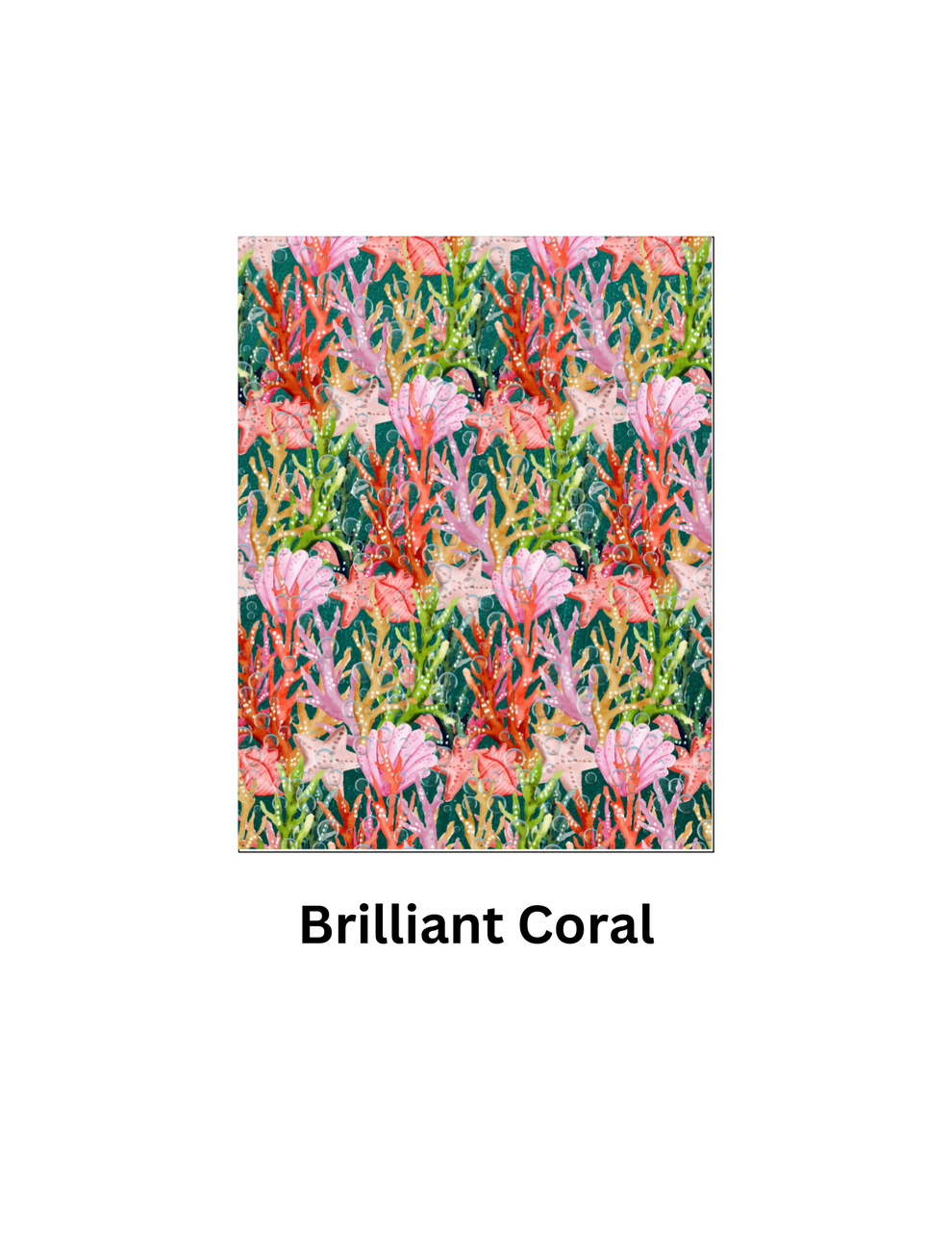 Ocean Life Build Your Own Pack Premium Decorative Release Papers ...